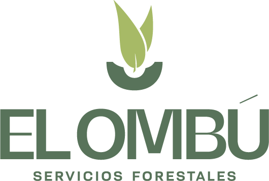 Landing - EL OMBÚ